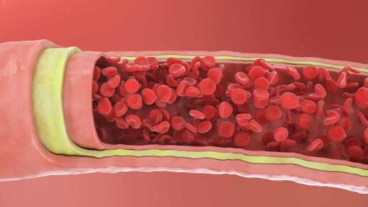 Human Anatomy & Physiology Part 2 | International School of the Healing ...
